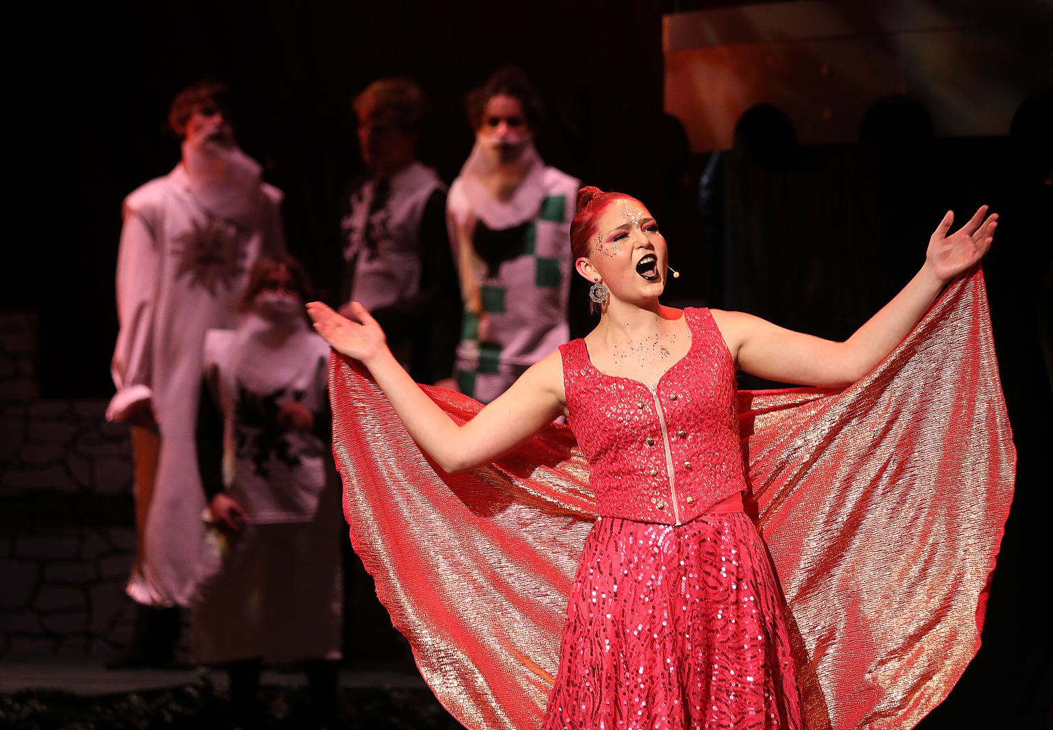 Fairy tales come to life as Sailors Drama Troupe brings ’Shrek the ...