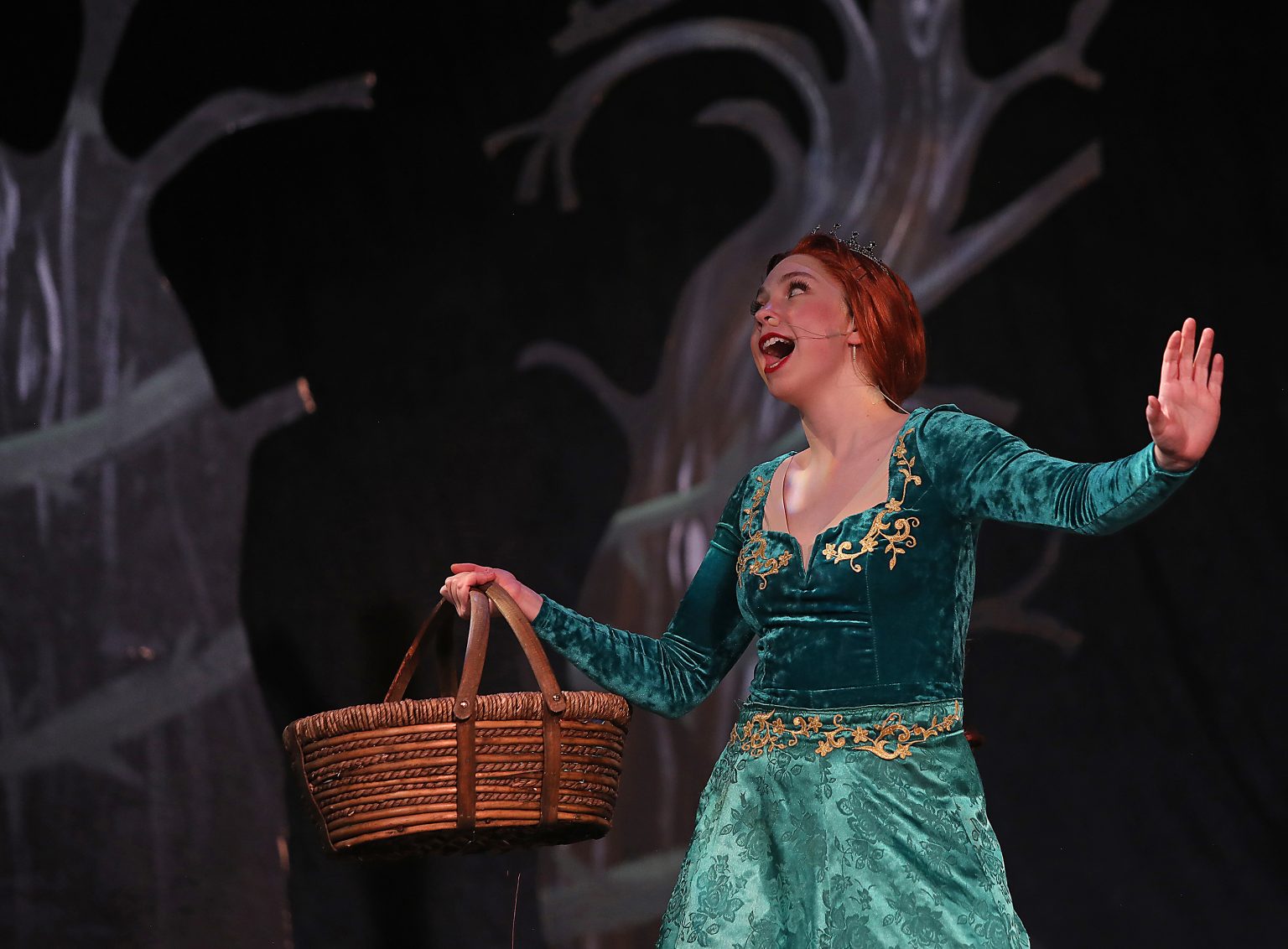 Fairy tales come to life as Sailors Drama Troupe brings ’Shrek the ...