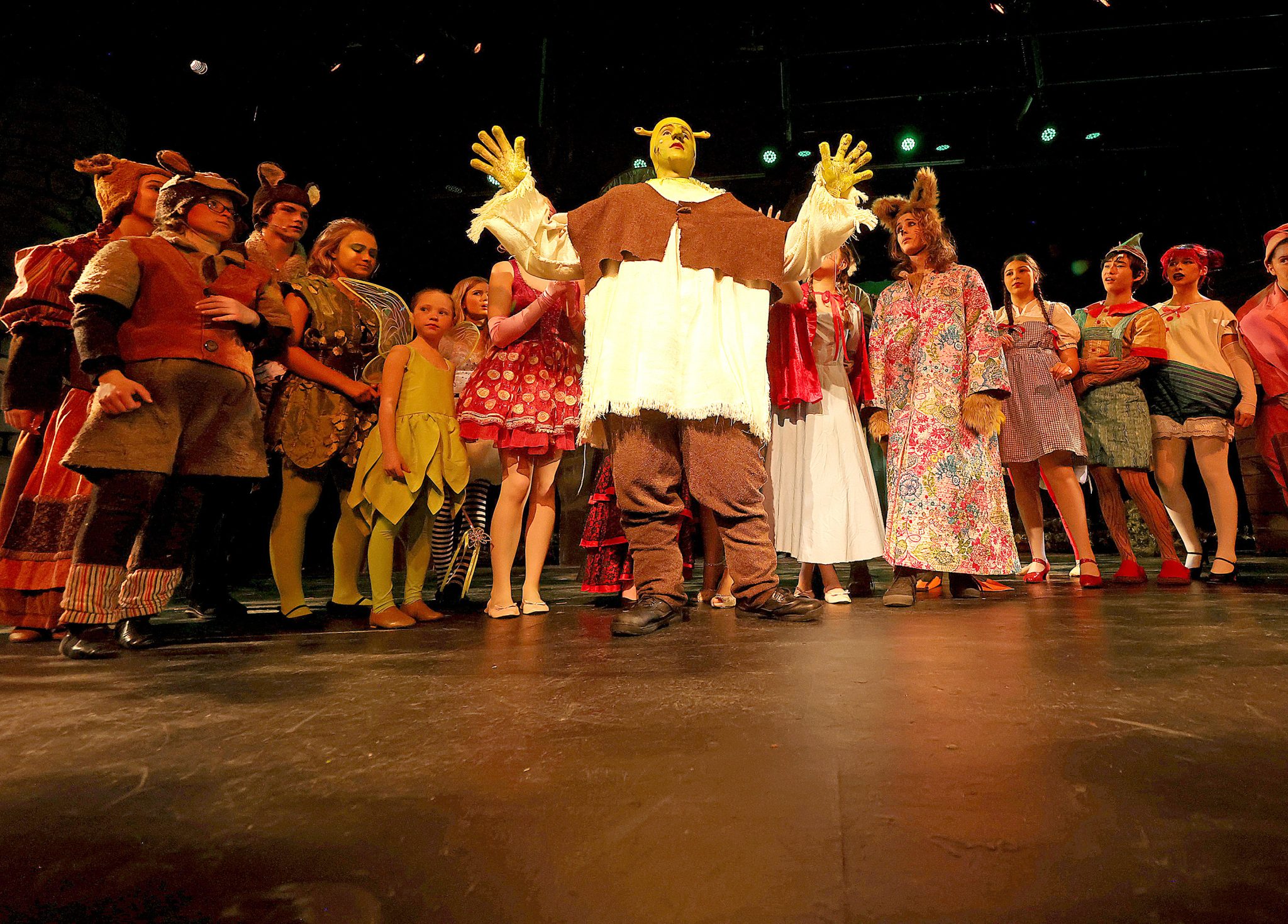 Fairy tales come to life as Sailors Drama Troupe brings ’Shrek the ...