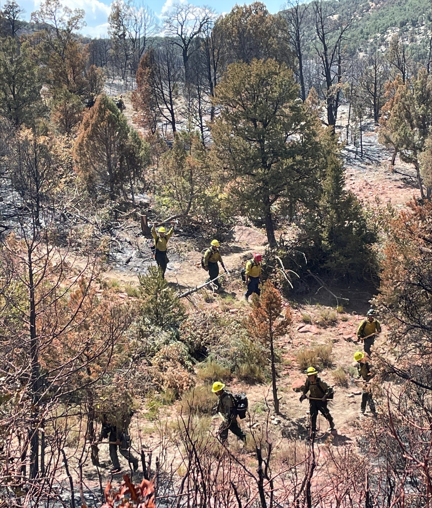 Updated Community Wildfire Protection Plan prioritizes vulnerabilities ...