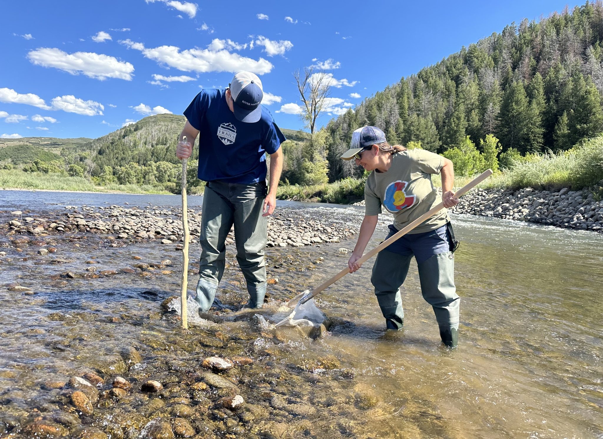 Algae under scrutiny: A rising concern for watershed groups ...