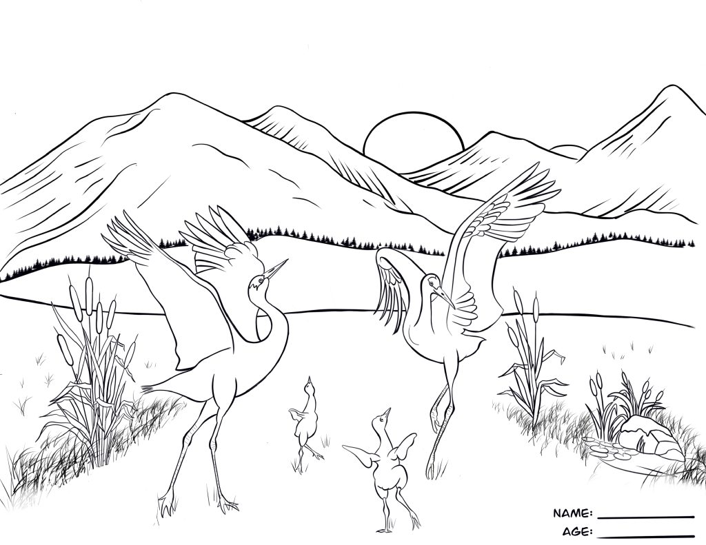 Annual children’s crane coloring contest underway | SteamboatToday.com