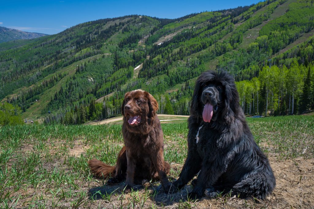 Share: Reader photos | SteamboatToday.com