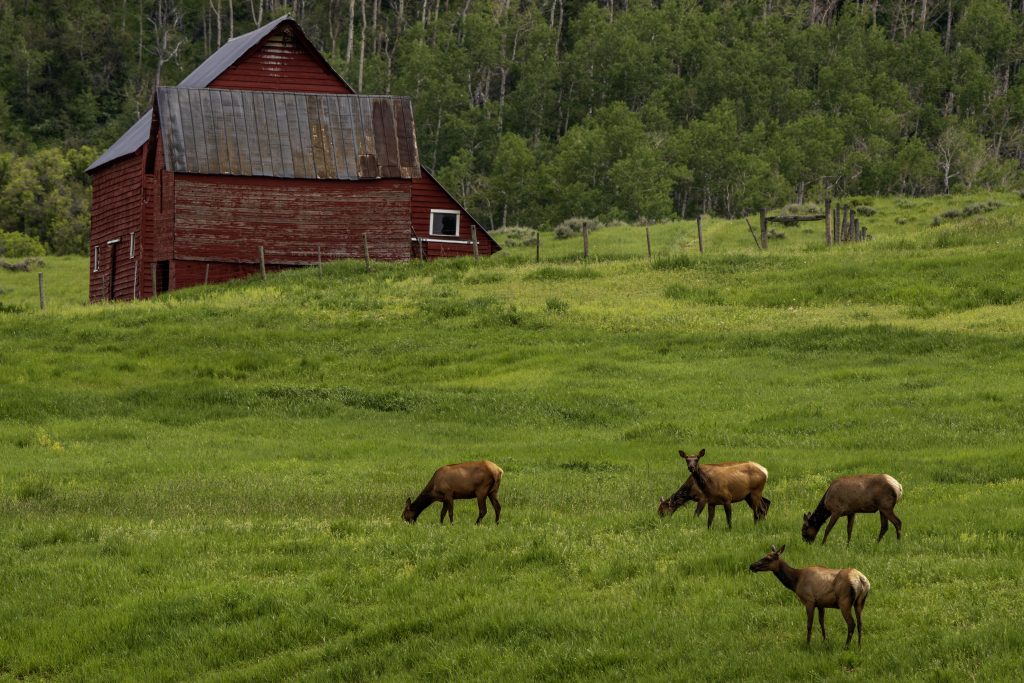 Share: Reader photos | SteamboatToday.com