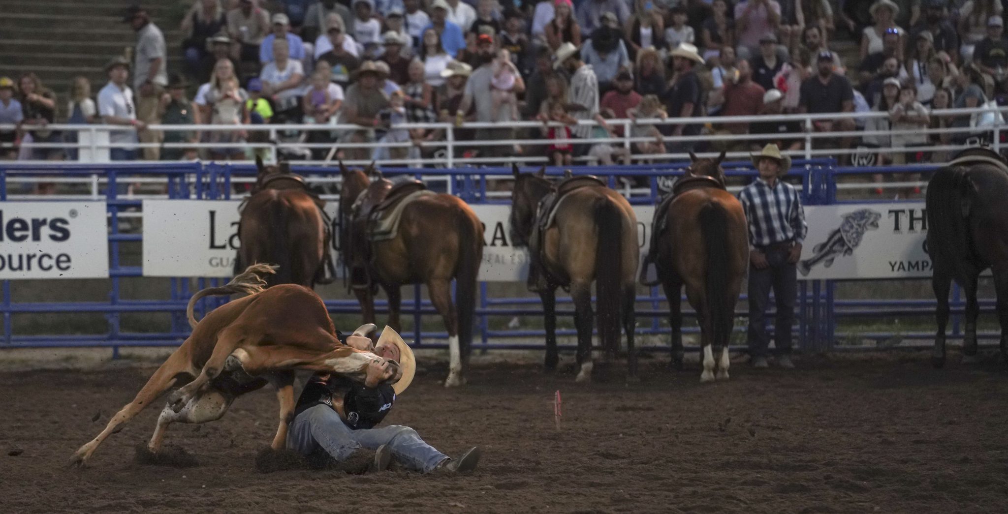 Photos: Ups and downs at the Steamboat Pro Rodeo | SteamboatToday.com