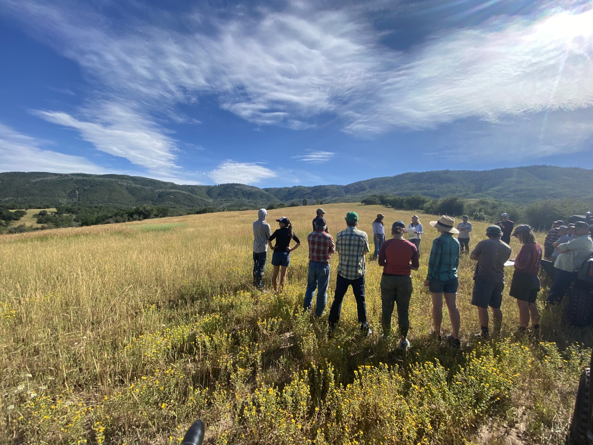 Tour offers glimpse of ranch property that could bring Steamboat Springs hundreds of acres of ...