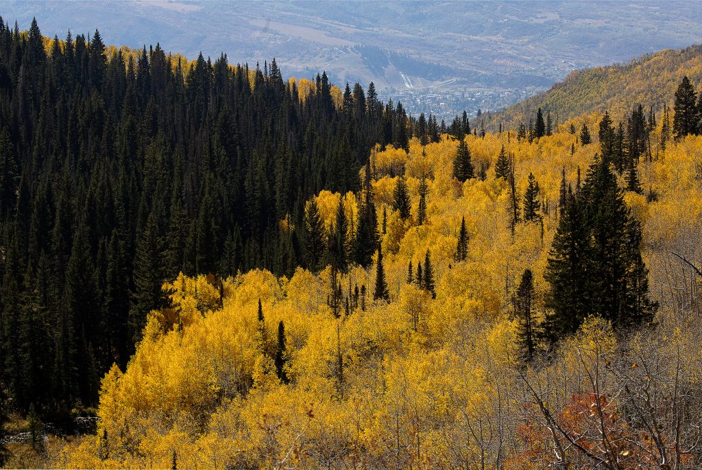 Photos: Driving through fall along Buffalo Pass Road near Steamboat ...