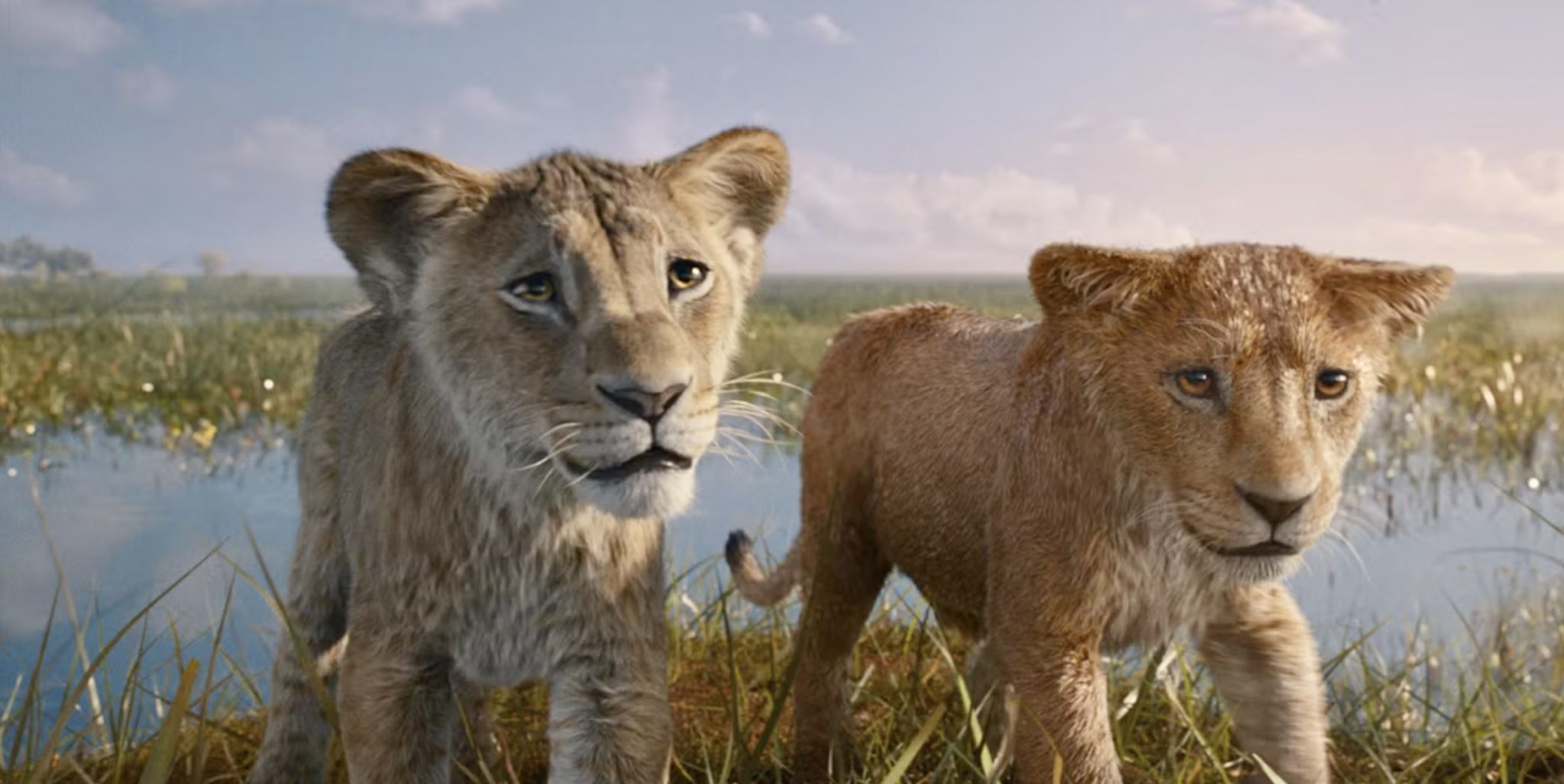The Bock’s Office: ‘Mufasa’ strengthens ‘Lion King’ legacy ...