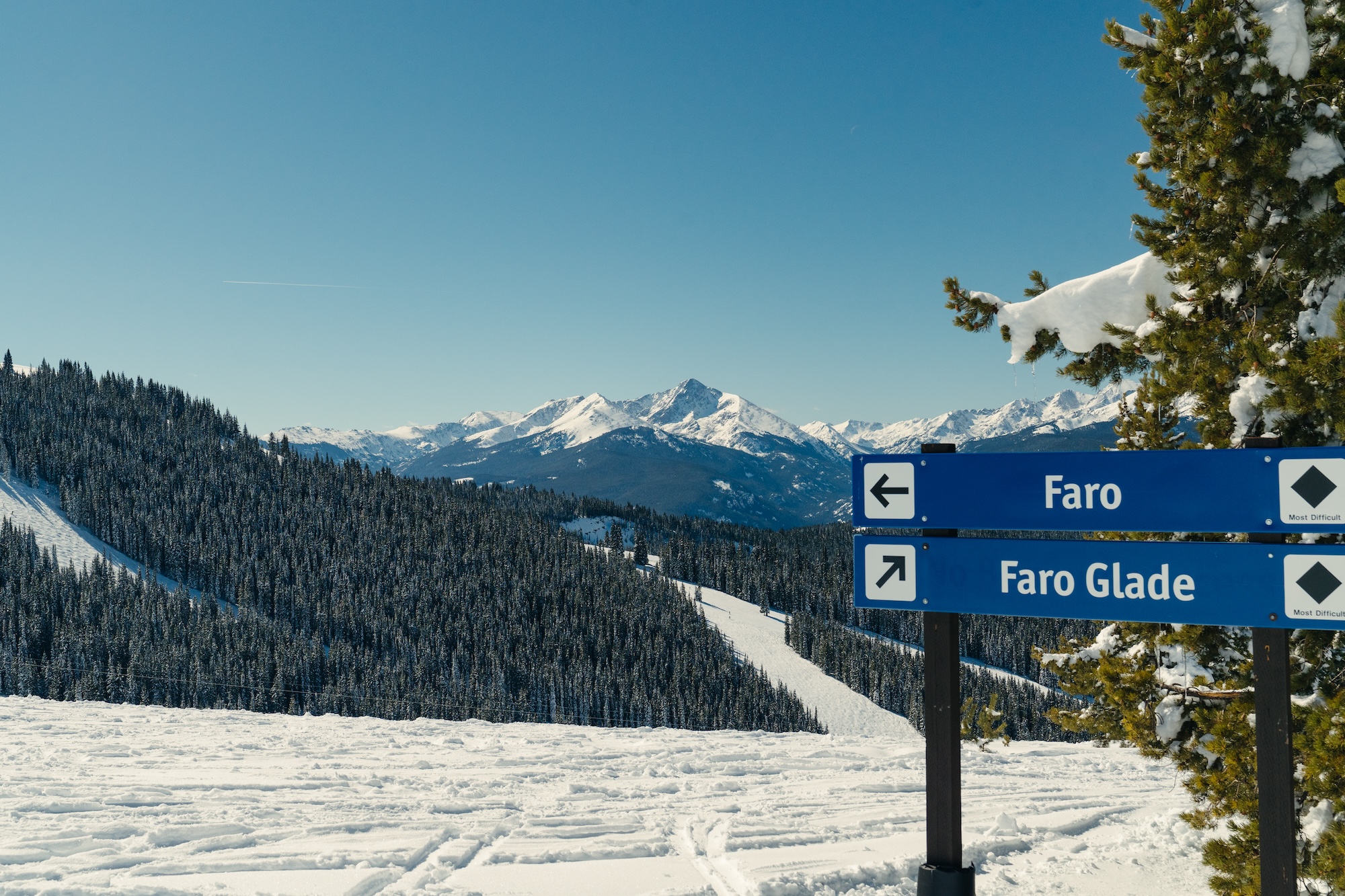 Vail Mountain is putting trail signs up for auction for a good cause ...