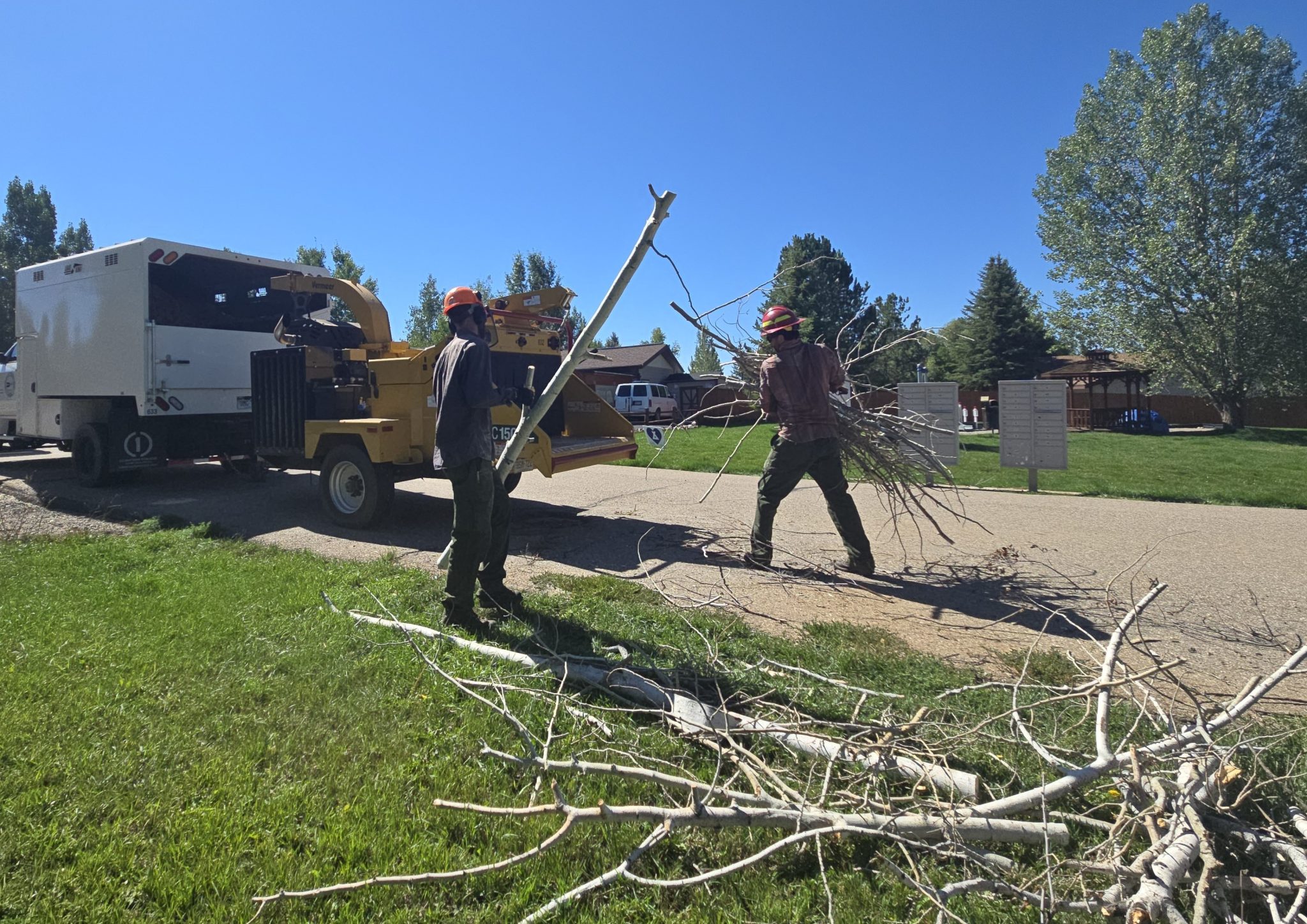 Routt County Wildfire Mitigation Council offers residents resources ...