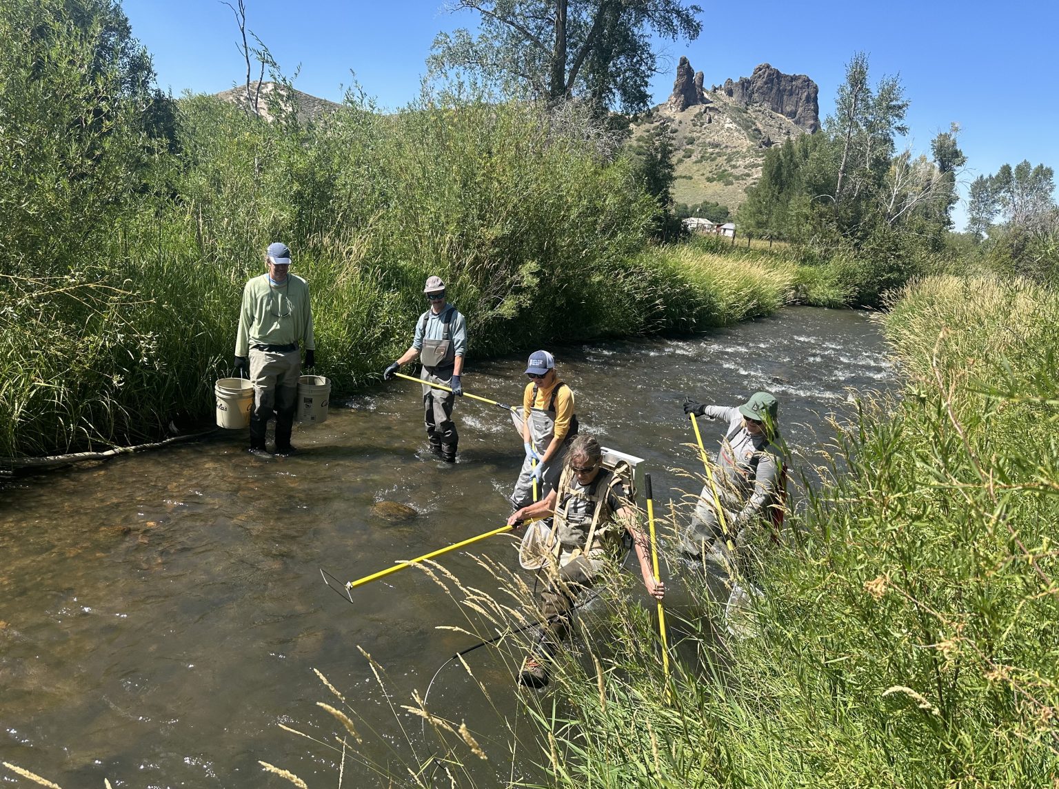Yampa River Scorecard grade slips for South Routt | SteamboatToday.com