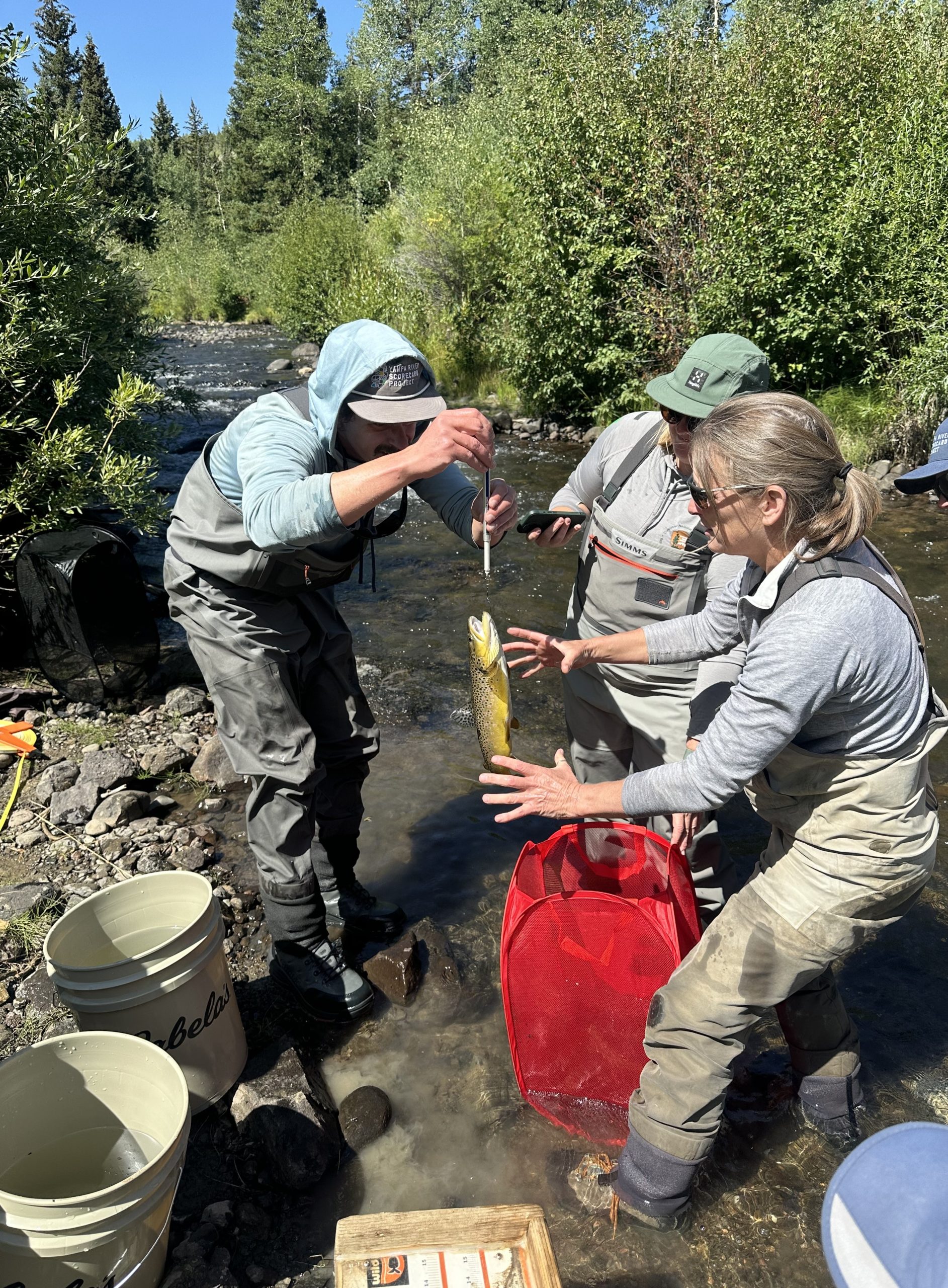 Yampa River Scorecard grade slips for South Routt | SteamboatToday.com