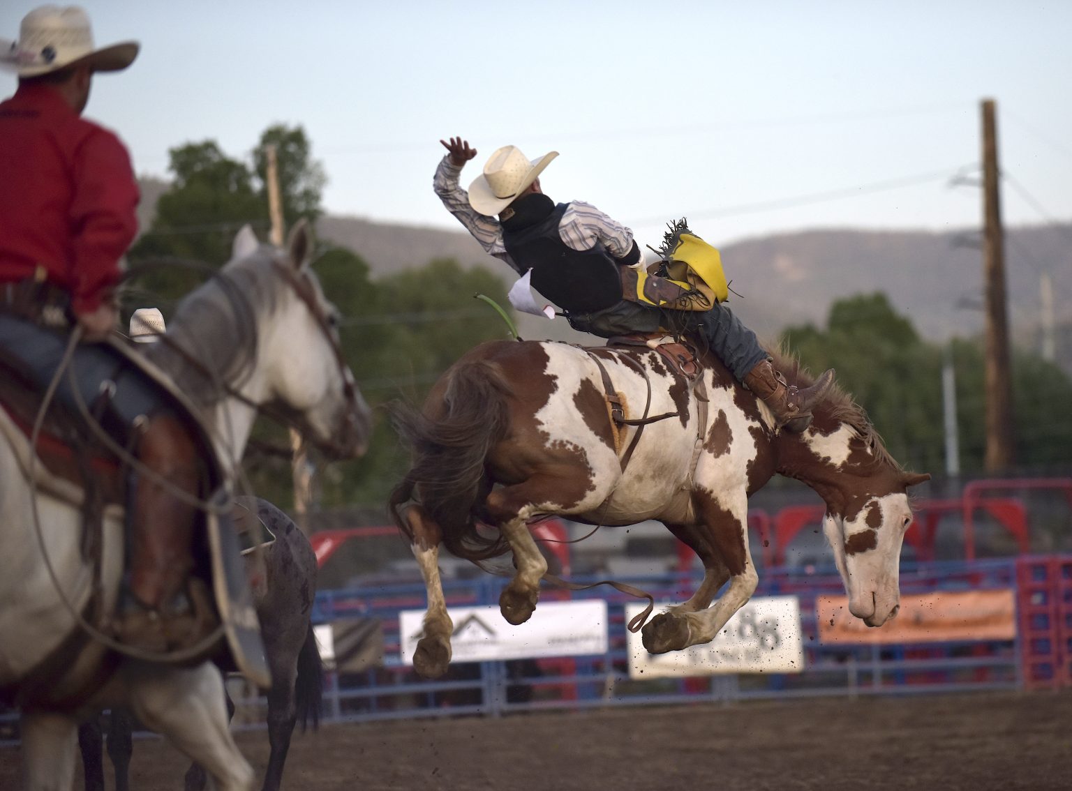 Photos: Steamboat Springs Pro Rodeo Series returns | SteamboatToday.com