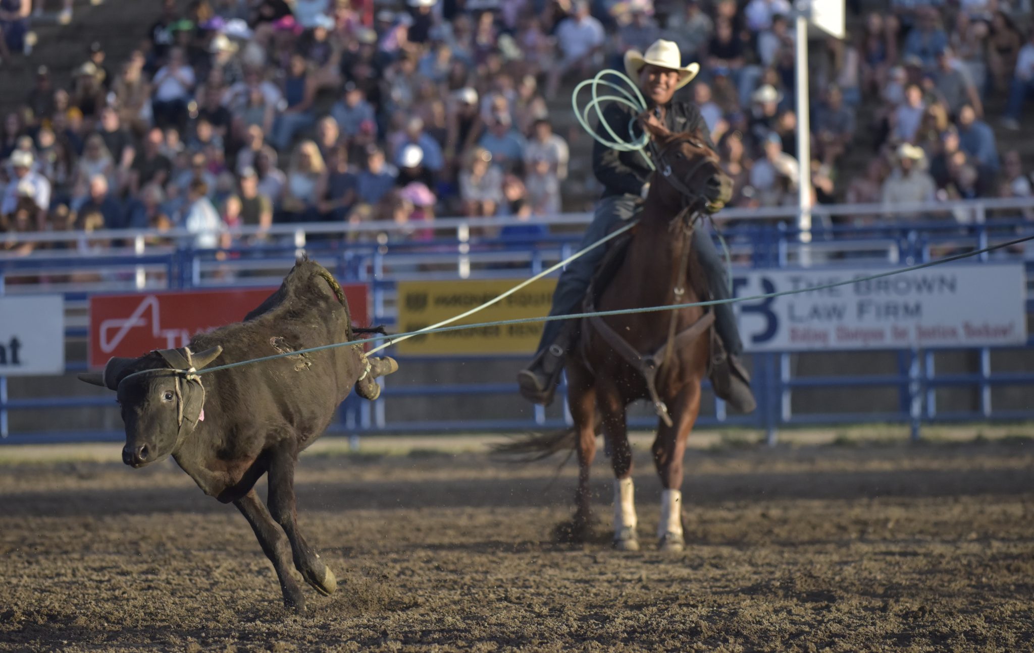Photos: Steamboat Springs Pro Rodeo Series returns | SteamboatToday.com