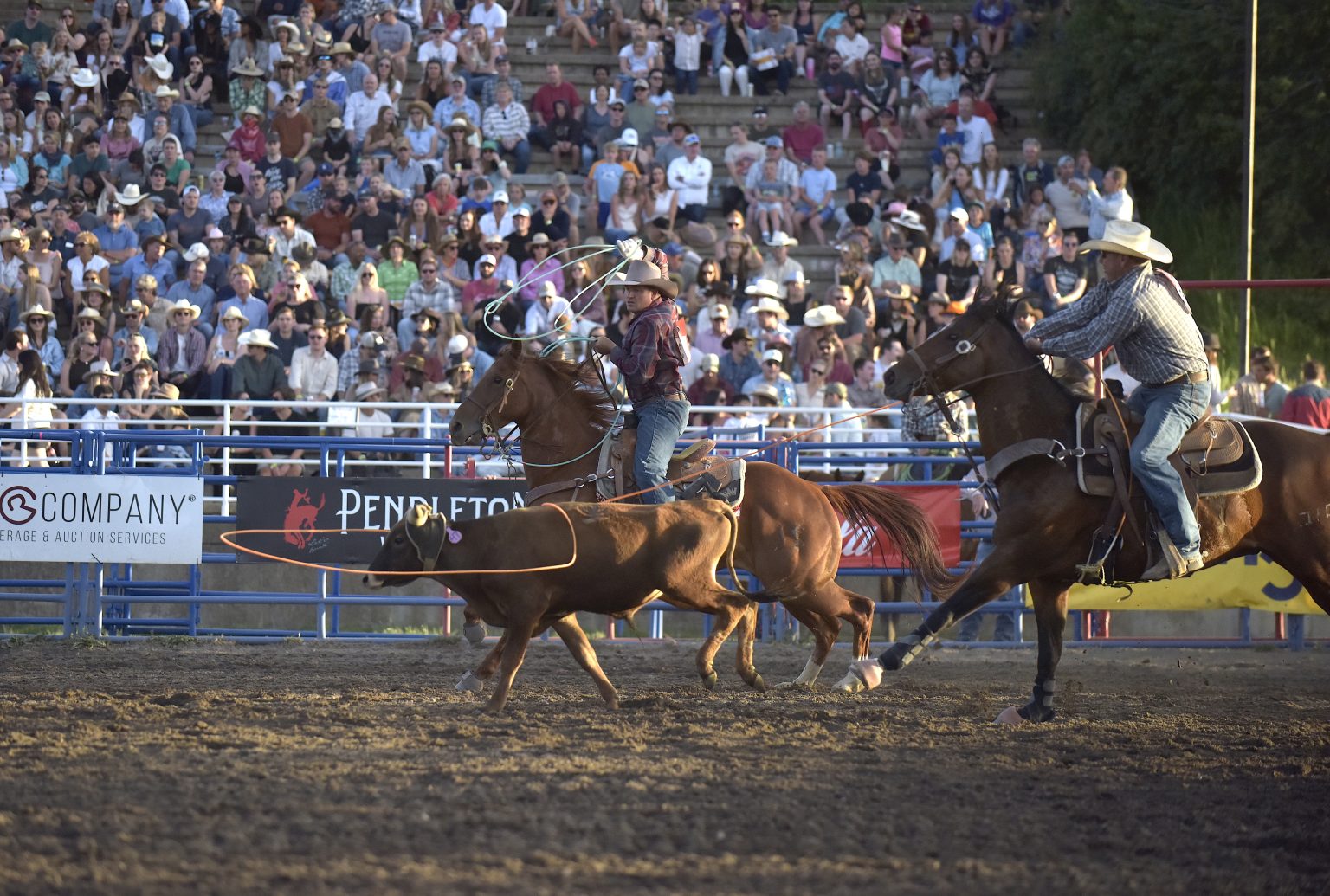 Photos: Steamboat Springs Pro Rodeo Series returns | SteamboatToday.com