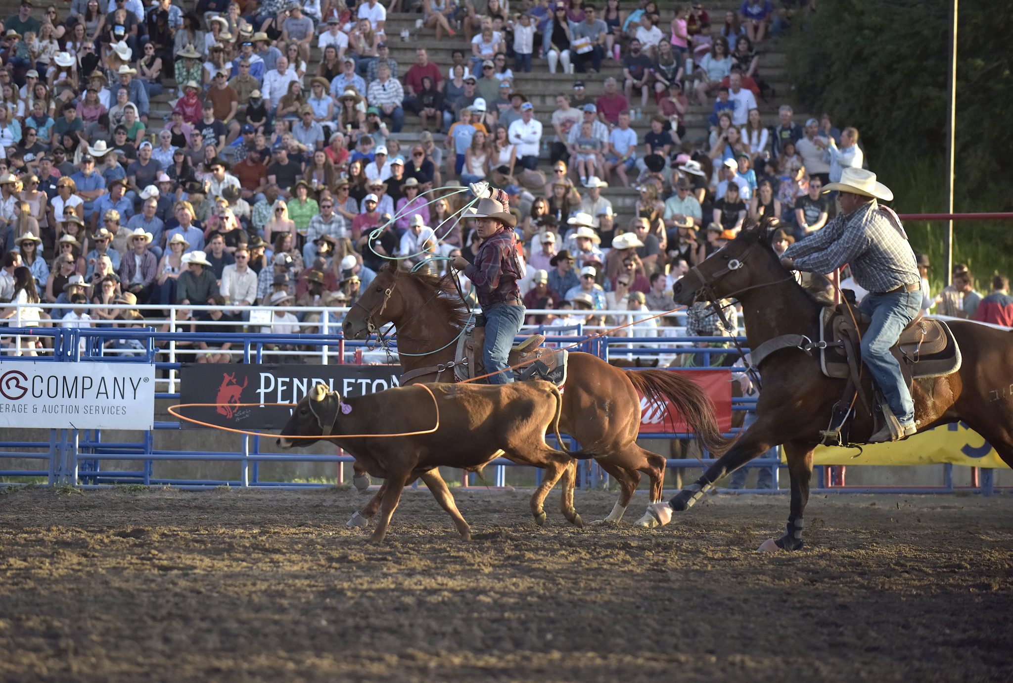 Photos: Steamboat Springs Pro Rodeo Series returns | SteamboatToday.com