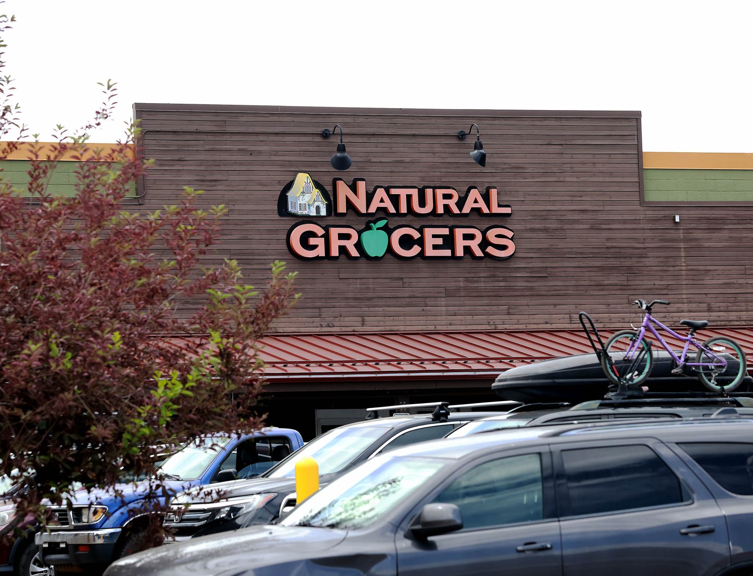 Natural Grocers looks to get back on track after cyberattack disrupts ...