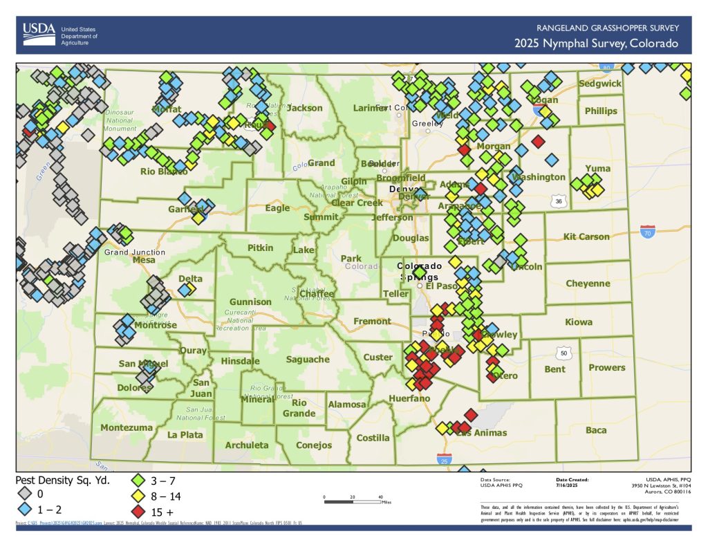 Will this year be boom or bust for Colorado’s grasshopper populations ...