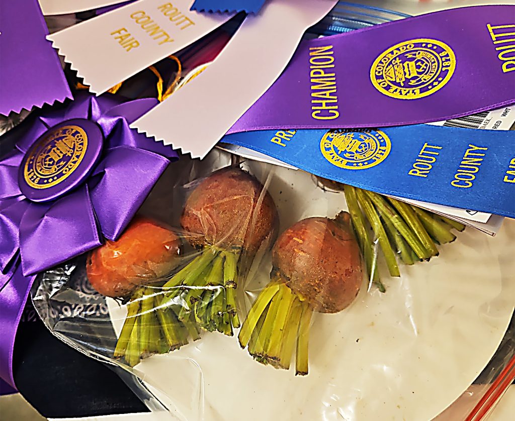 Routt County Fair opens Friday, offering taste of agricultural life ...
