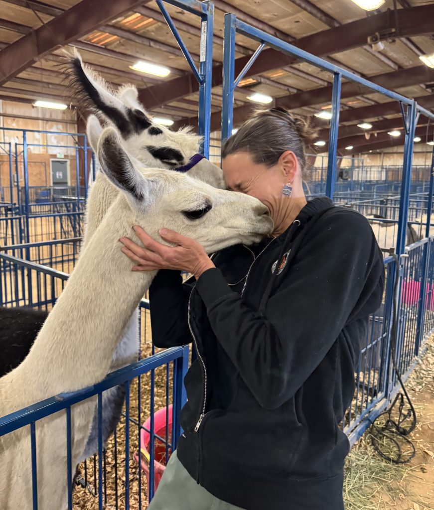 Happenstance provides animal therapy for firefighters in Meeker | SteamboatToday.com