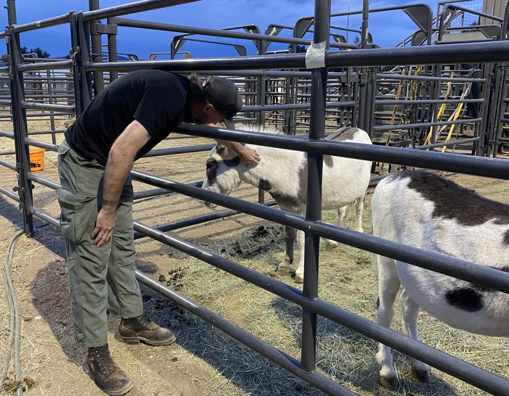 Happenstance provides animal therapy for firefighters in Meeker ...