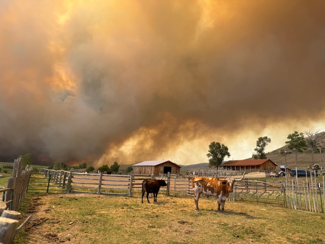 Happenstance provides animal therapy for firefighters in Meeker ...