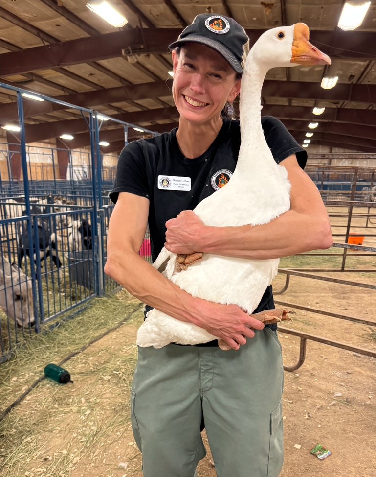 Happenstance provides animal therapy for firefighters in Meeker ...