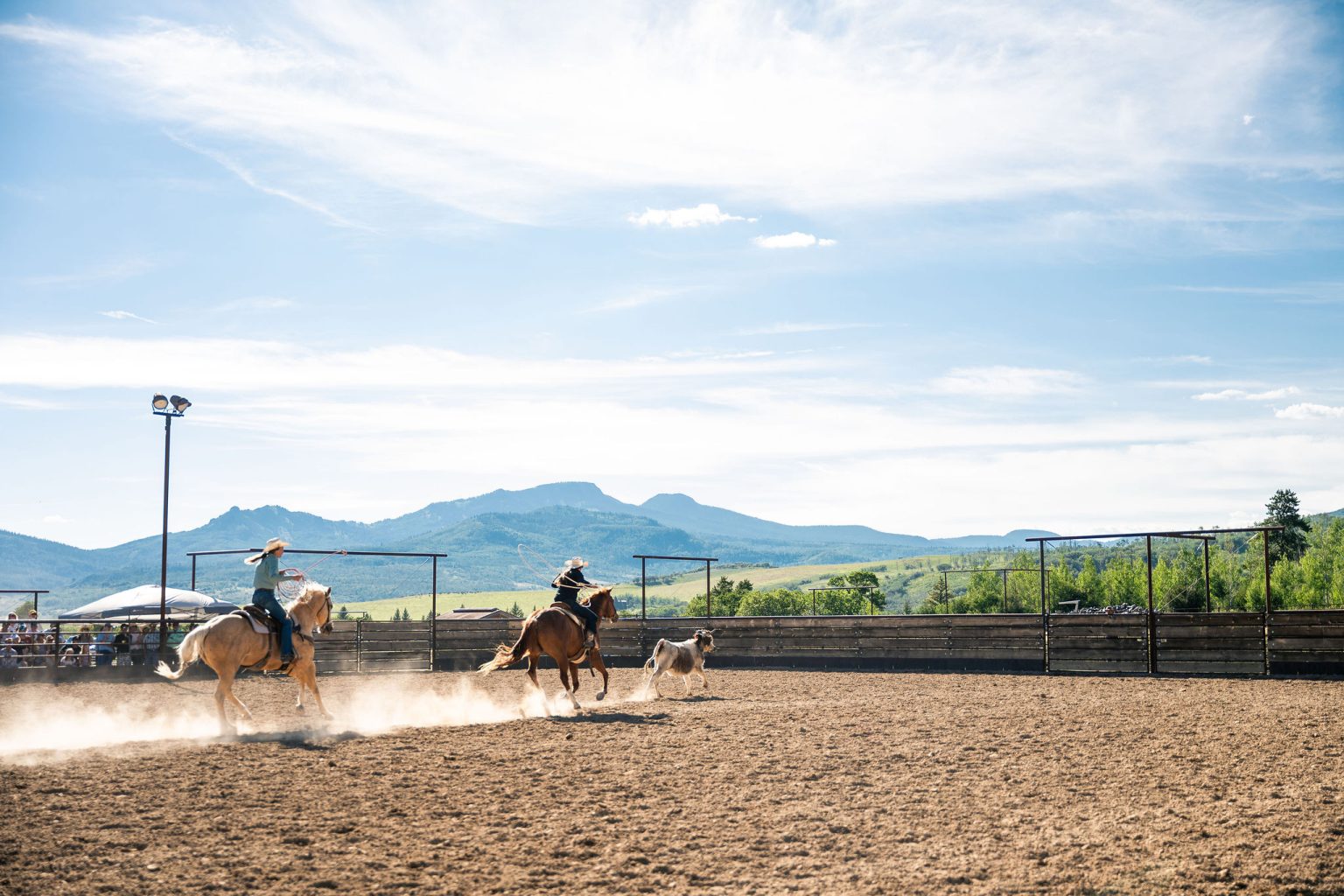 Community Ag Alliance: All-Women’s Ranch Rodeo raises $20K for ...