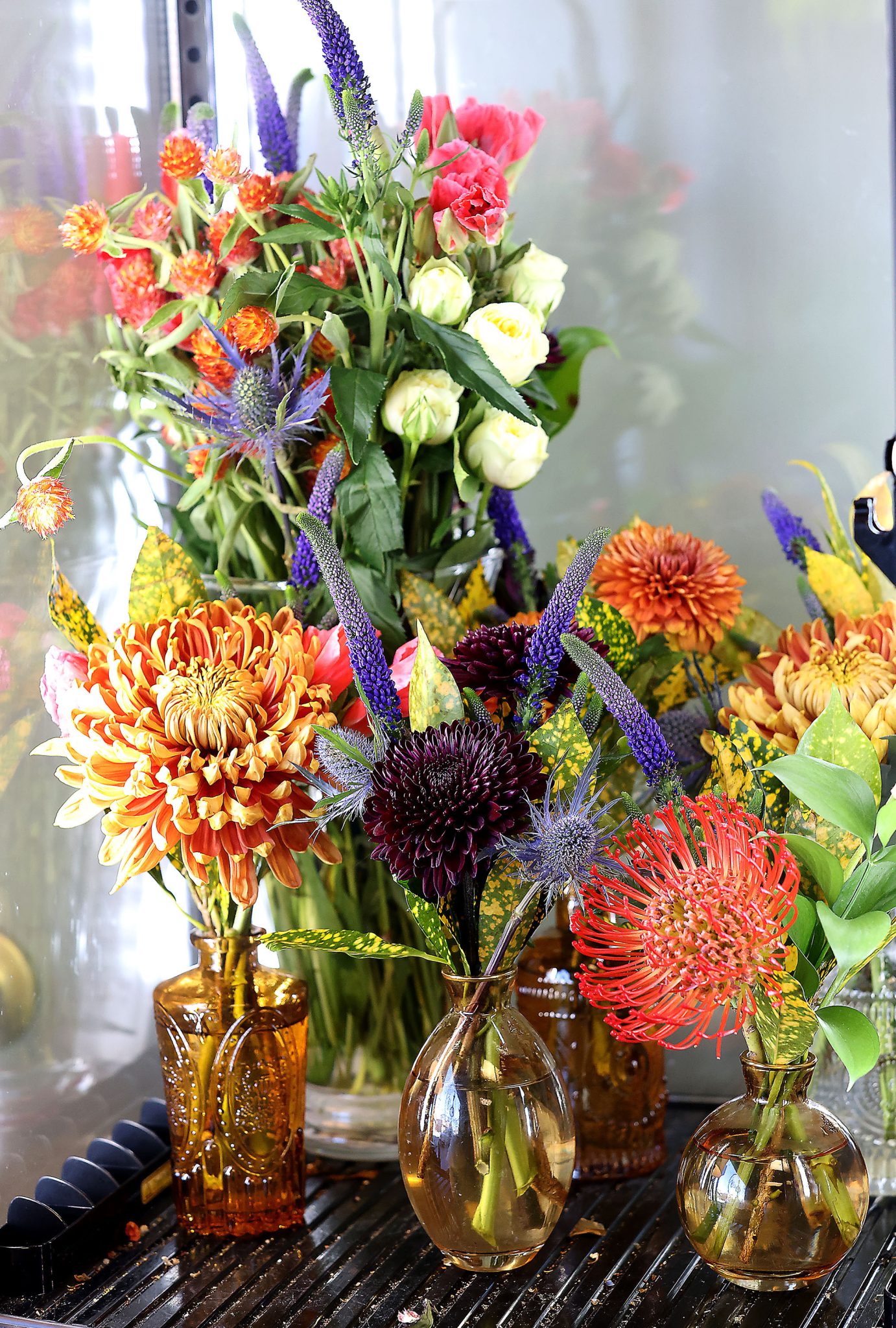 Plant shop blooms in downtown Hayden as owner looks to sow deep ...