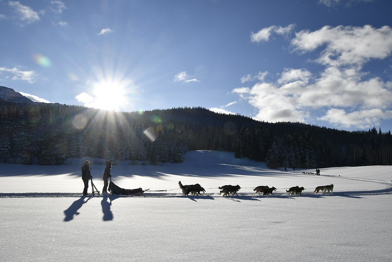 Mushing with compassion: Snow Buddy Dog Sled Adventures ...