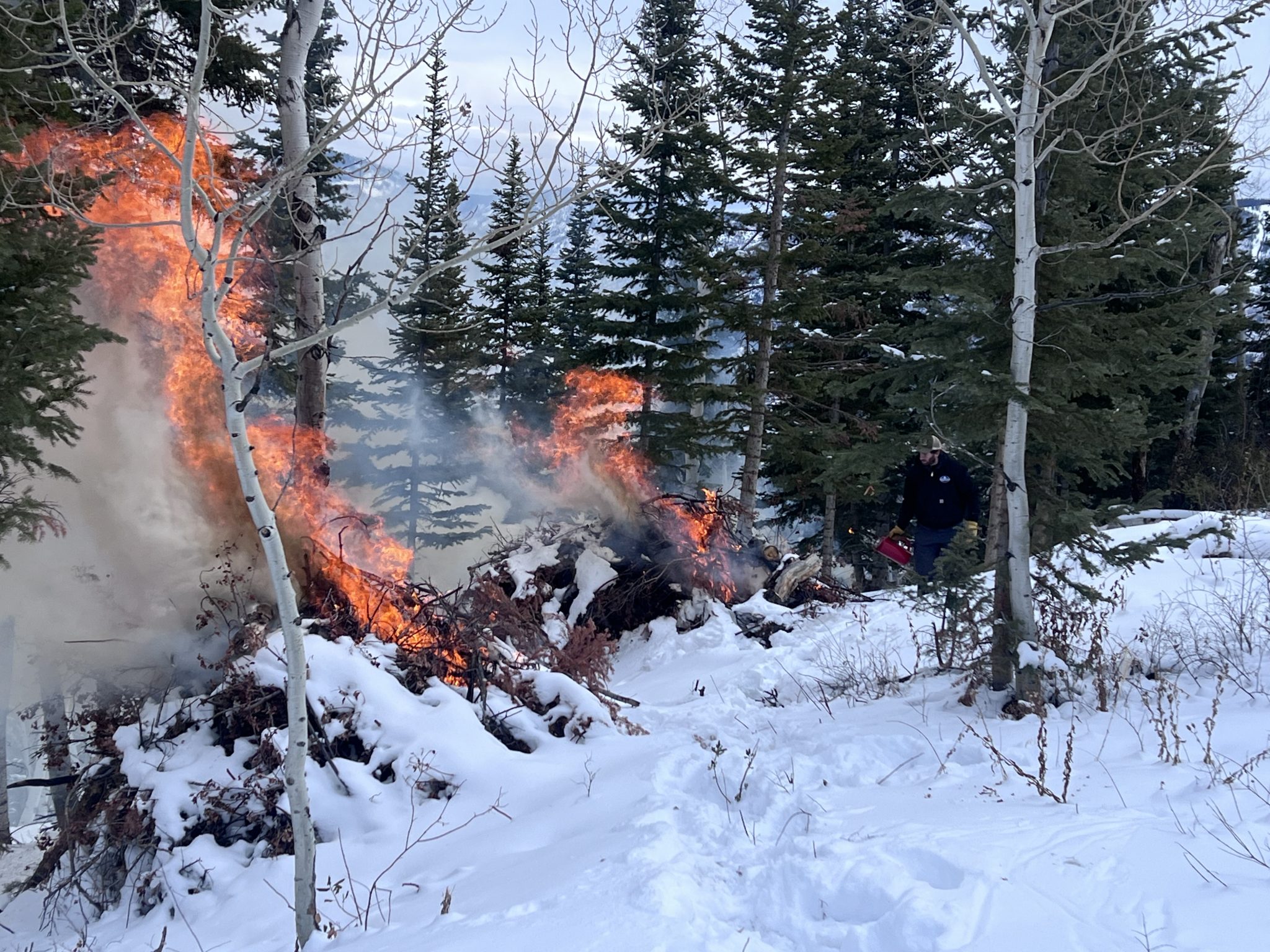 Prescribed burns on Emerald Mountain expected to take place Sunday ...