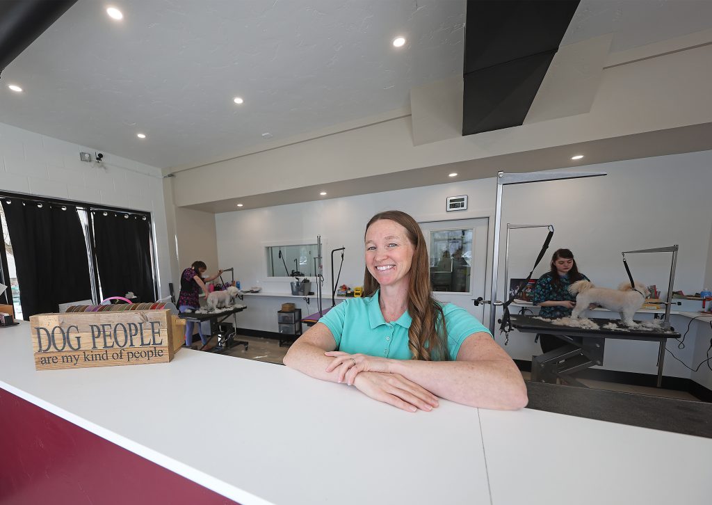 Powder Hounds Pet Grooming Salon in Steamboat Springs finds new home ...