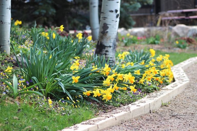 City of Steamboat Springs releases tiered water management plan ...
