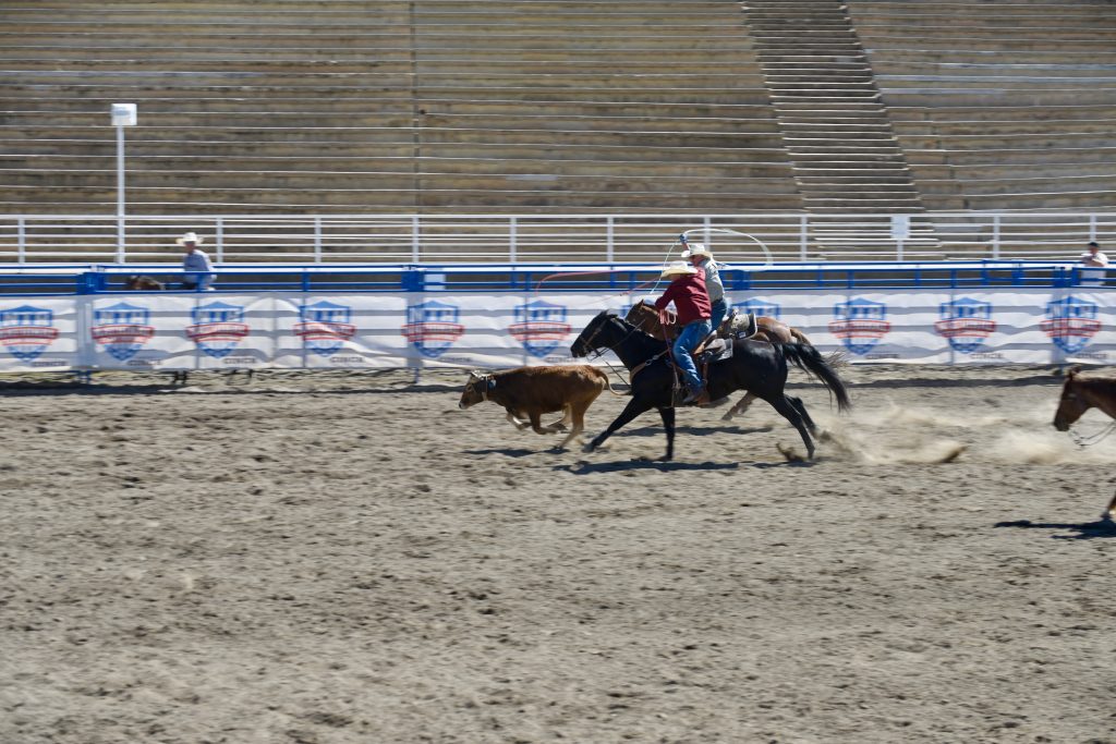 Photos: National Team Roping event held at Howelsen Hill Rodeo Grounds ...