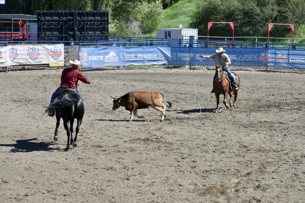 Photos: National Team Roping event held at Howelsen Hill Rodeo Grounds ...