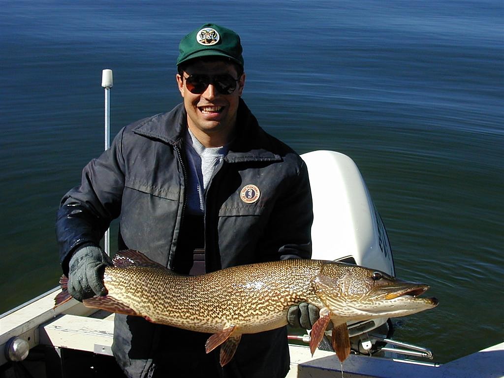 Northern Pike: An unwanted predator in Wolford Reservoir | SkyHiNews.com