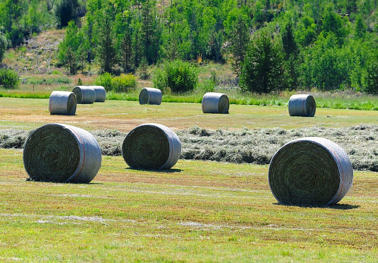 Hay prices spike to highest level in years | SkyHiNews.com