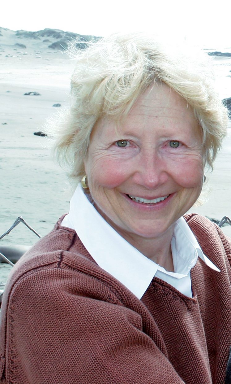 Obituary: Mary Ann Silliman Bacon, April 27, 1950 – November 20, 2013 ...