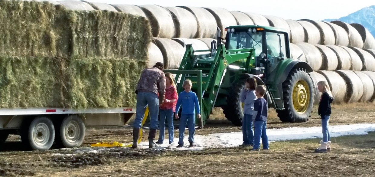 Blue Valley Ranch donates 50 tons of hay to 4-H kids | SkyHiNews.com