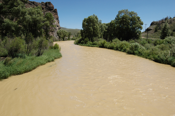 Why is the water so brown? | SkyHiNews.com