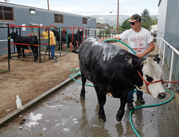 96th Middle Park Fair and Rodeo kicks off this Friday | SkyHiNews.com
