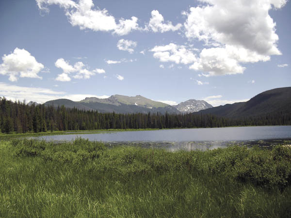 Trail of the Week: Strawberry Bench Trail | SkyHiNews.com