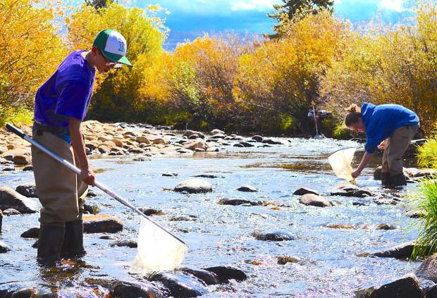 Fraser River restoration project will get underway this summer ...