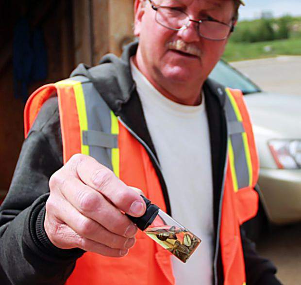 Grand Lake inspectors catch boat potentially contaminated with zebra ...