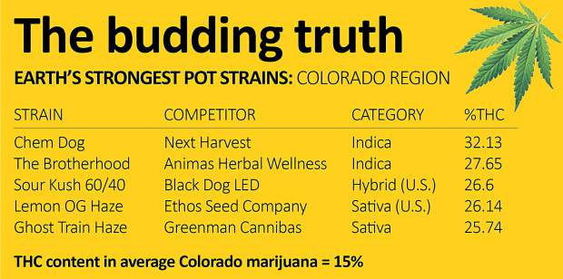 Campaign brings awareness of high potency pot | SkyHiNews.com