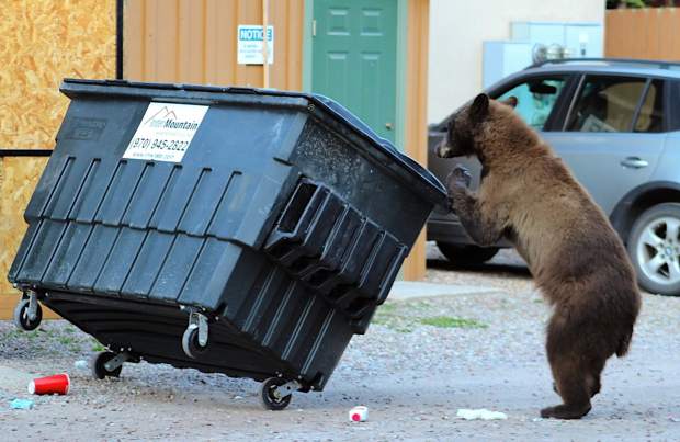 Tipped Over Trash Can