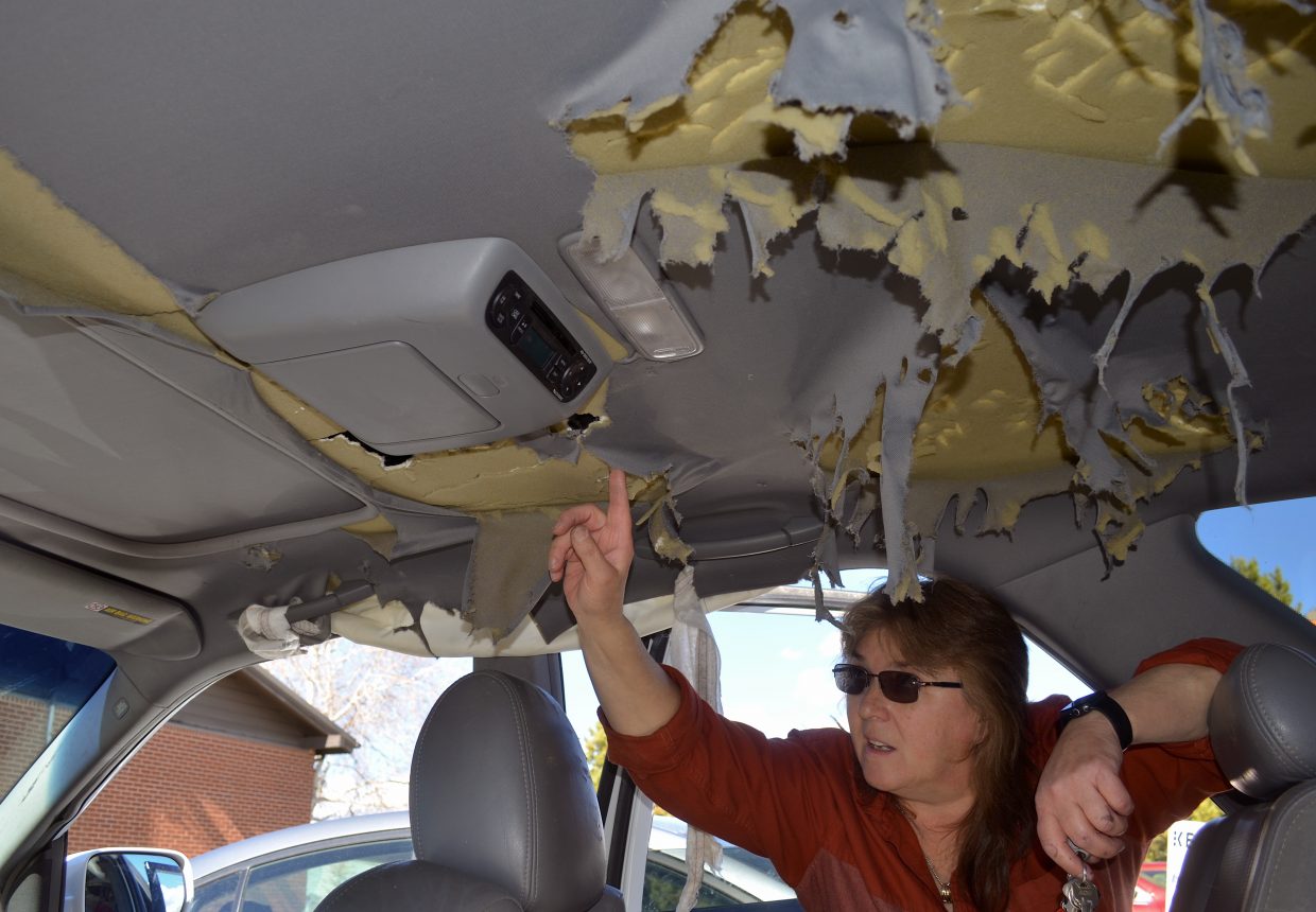 Bear does over $4,000 in damage after getting trapped in Grand County ...
