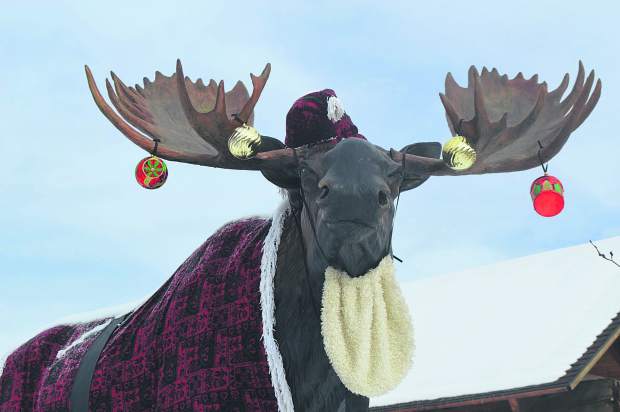 Moosin’ around: Local moose statue a community celebrity, focal point ...