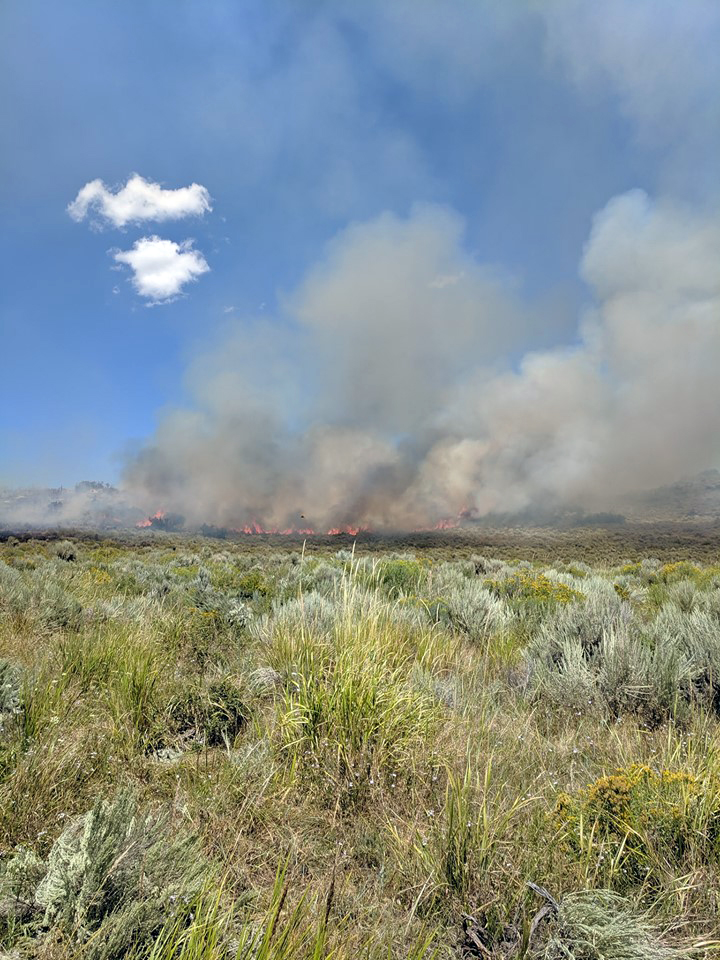 Wildfire burning in Routt County | SkyHiNews.com
