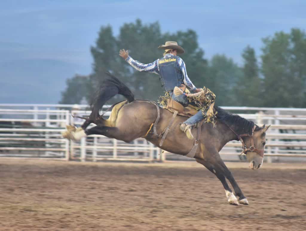 CPRA Rodeo still a wild ride at reduced capacity (photos) | SkyHiNews.com